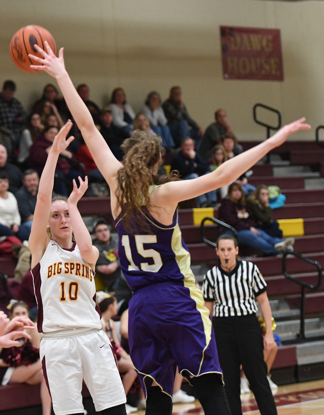 Laura Salzmann's steady performance enough as Boiling Springs edges Big ...