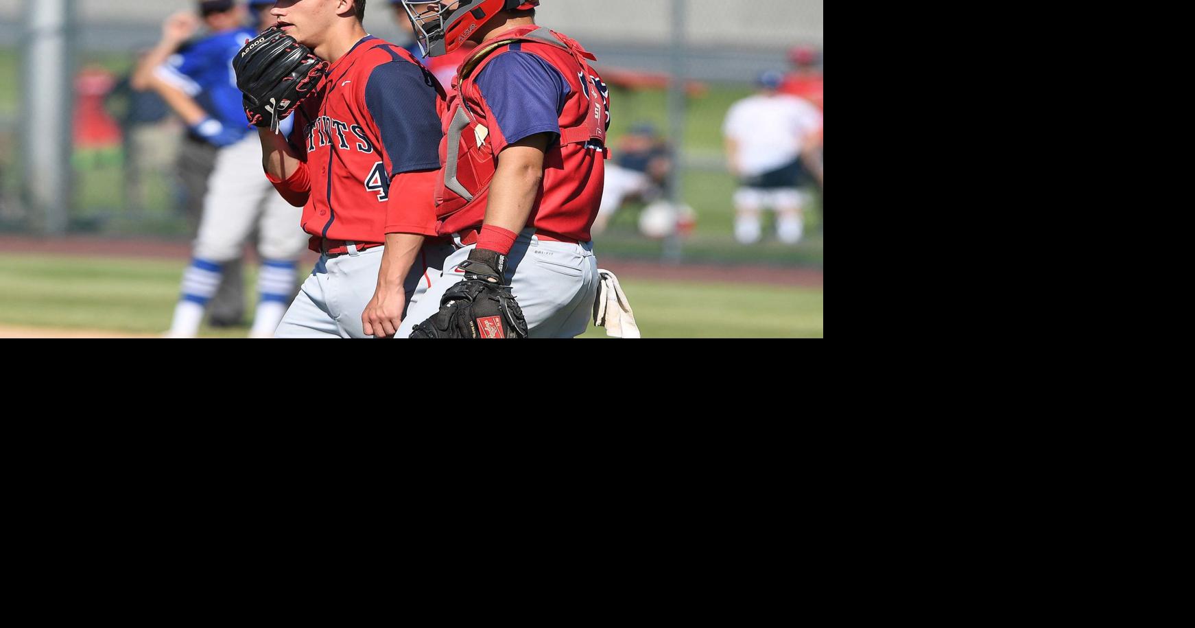 What they've waited for: For Red Land baseball, a PIAA championship ...