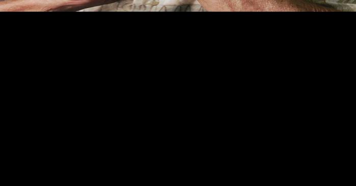 WWII Medal of Honor recipient Ehlers dies, leaving only 7 from that war