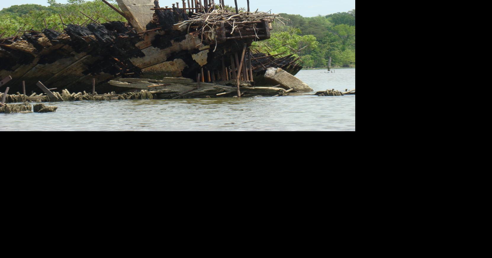 Kayaking provides unique view of Mallows Bay history