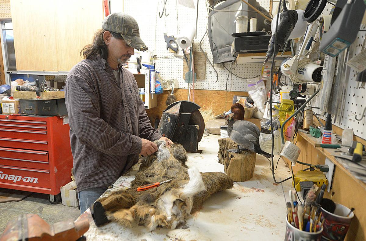 Hunting Guide: Mounting deer concerns | | cumberlink.com