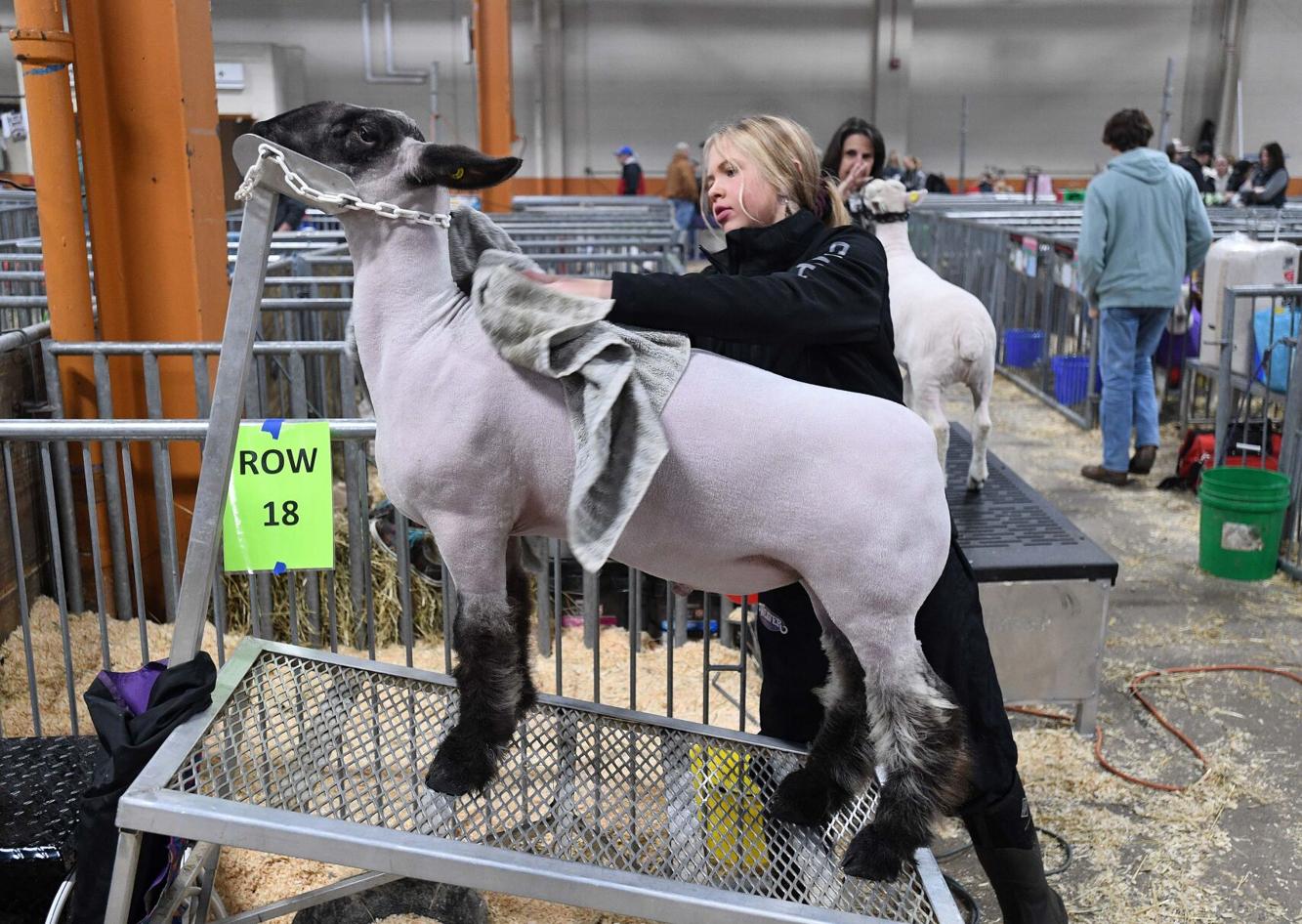 Photos: Scenes from the 2024 PA Farm Show