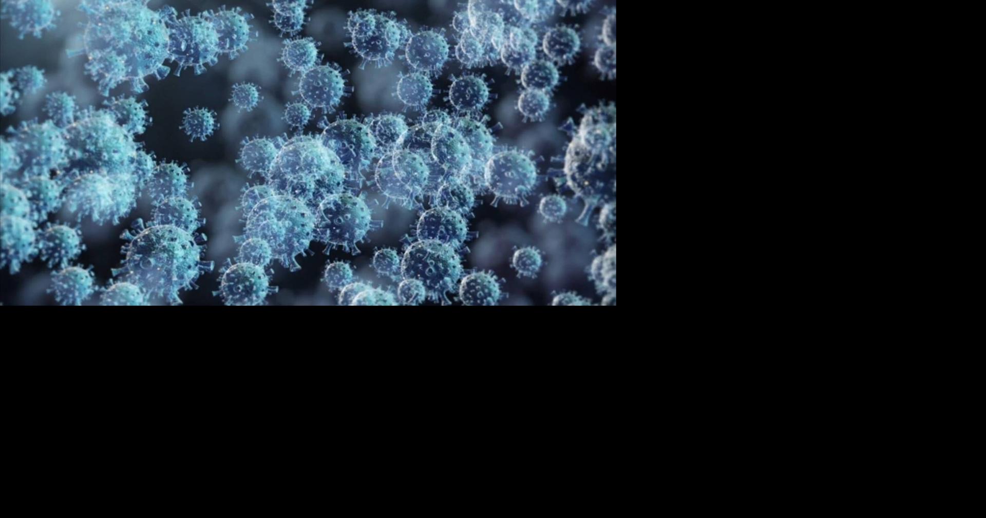 BA.2 Omicron Subvariant Is Now the Dominant COVID Strain in the US