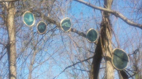 Art: A walk in the artistic 'wild'