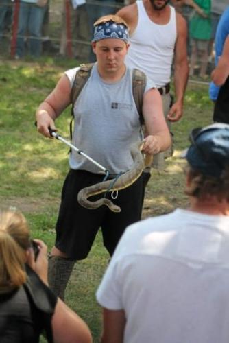 Rattlesnake roundup in Pa. nets 71 wrigglers