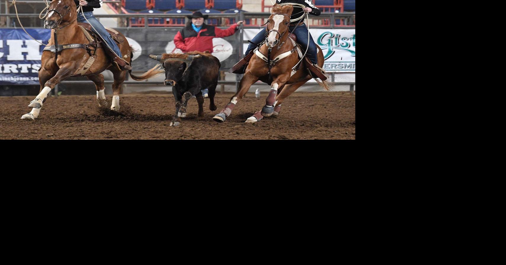 Horse riding shows attract crowds during first day of Farm Show