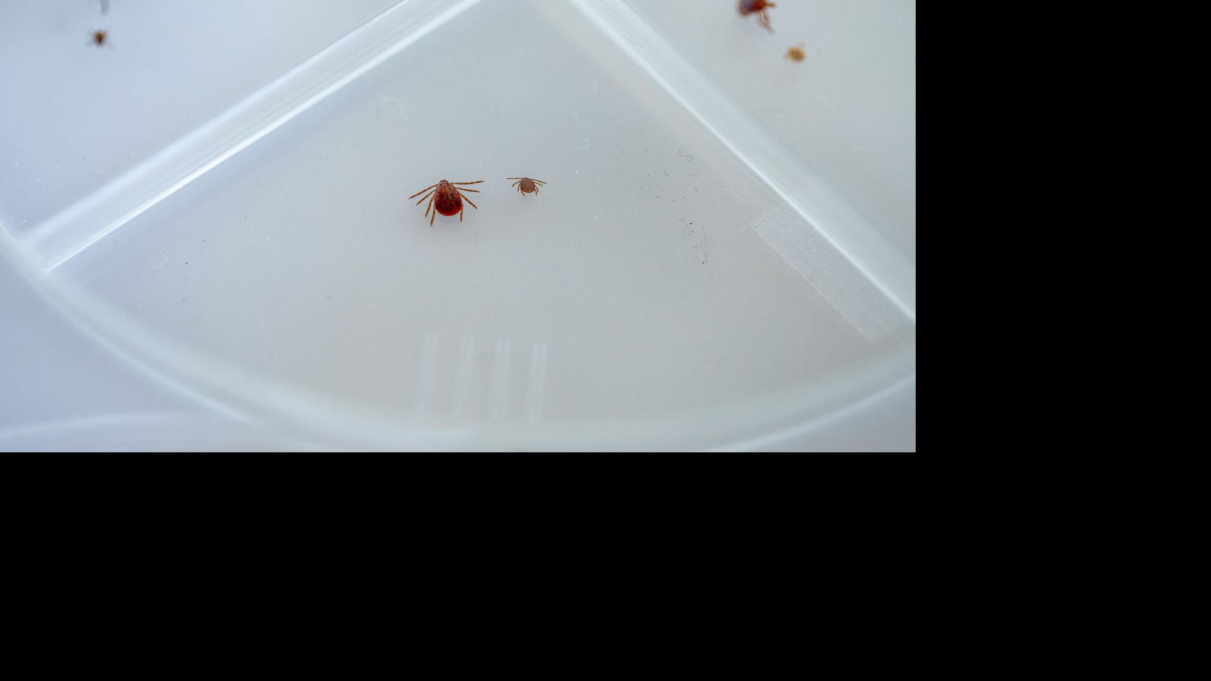 The Sentinel: News | cumberlink.com