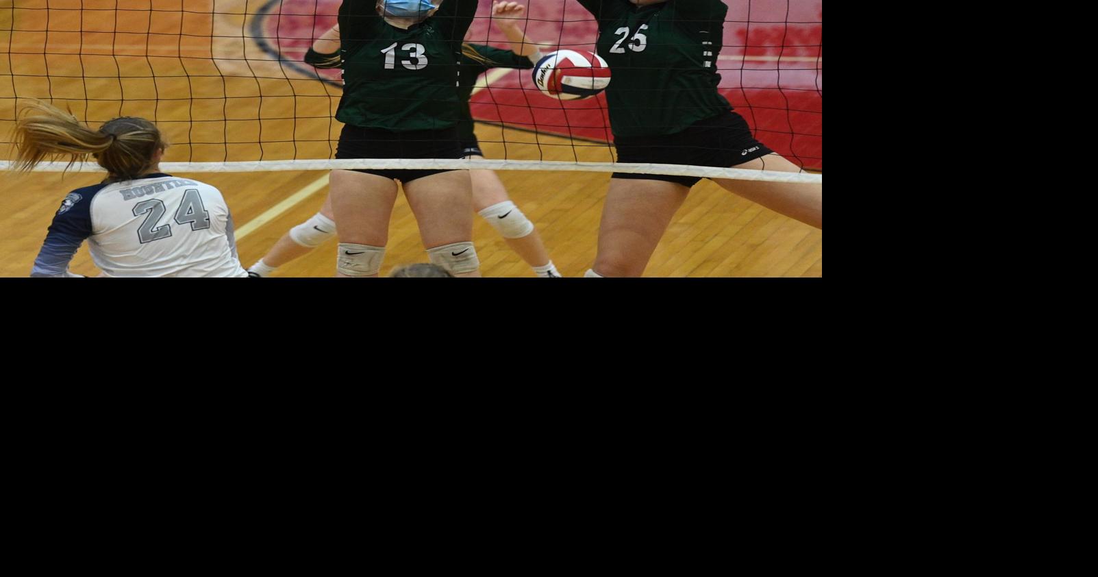 2020 All-State Girls Volleyball Team