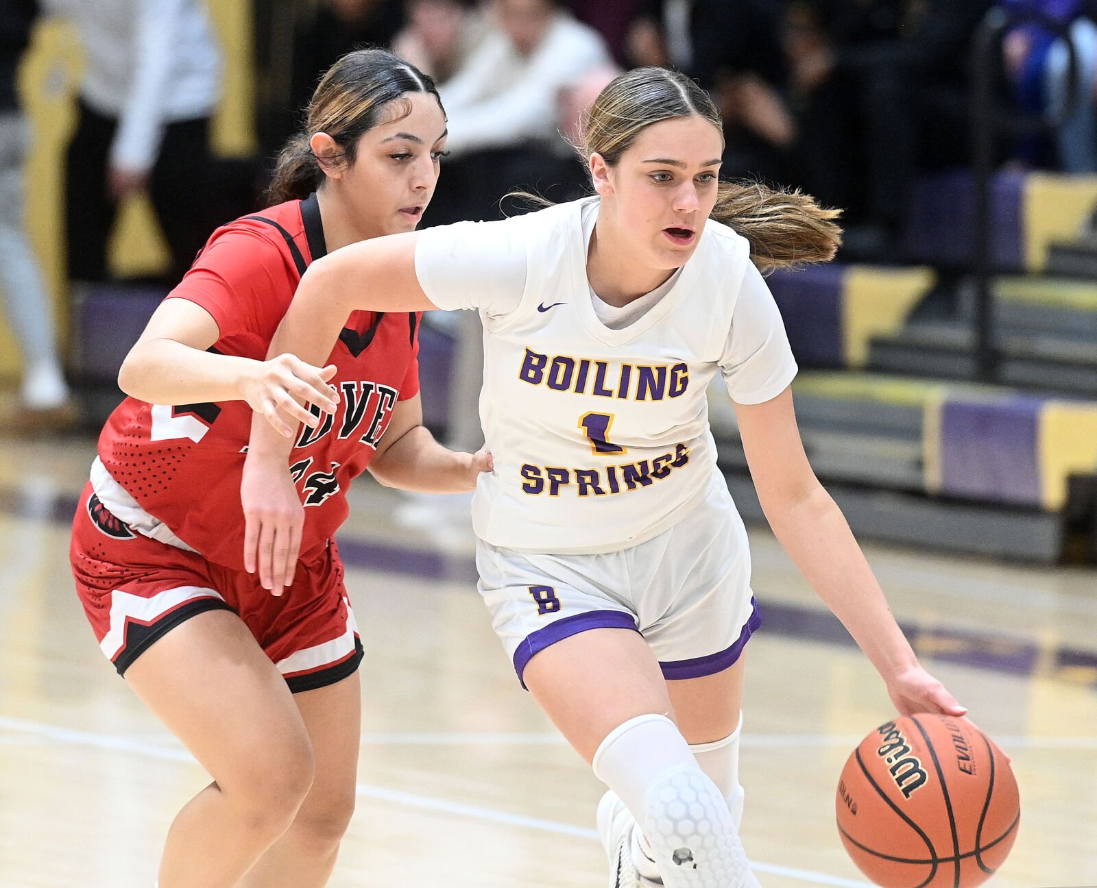 Sentinel Sports Scoreboard for Dec. 29-30