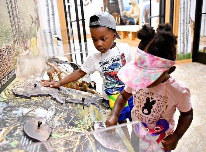 Nixon Park Nature Center unveils major renovations