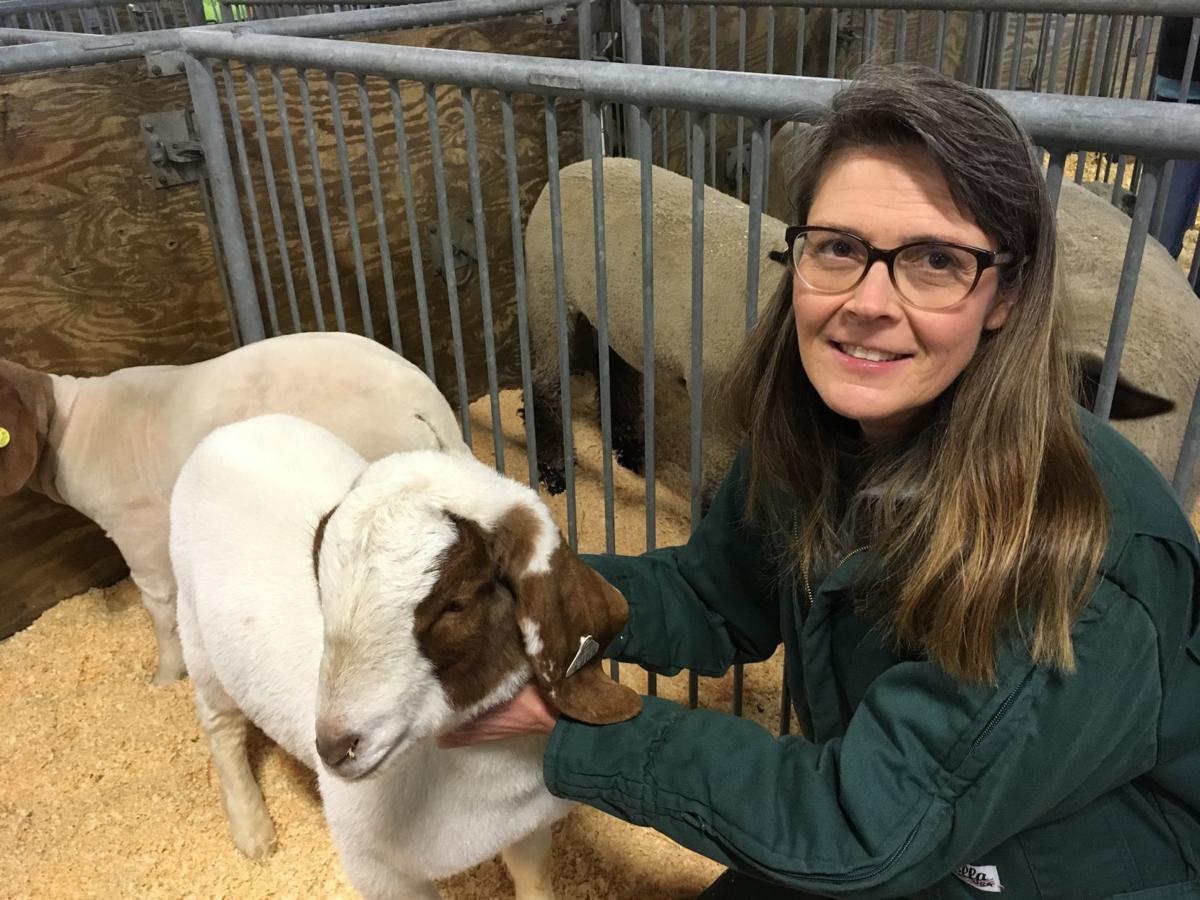 Veterinarian keeps Farm Show animals healthy