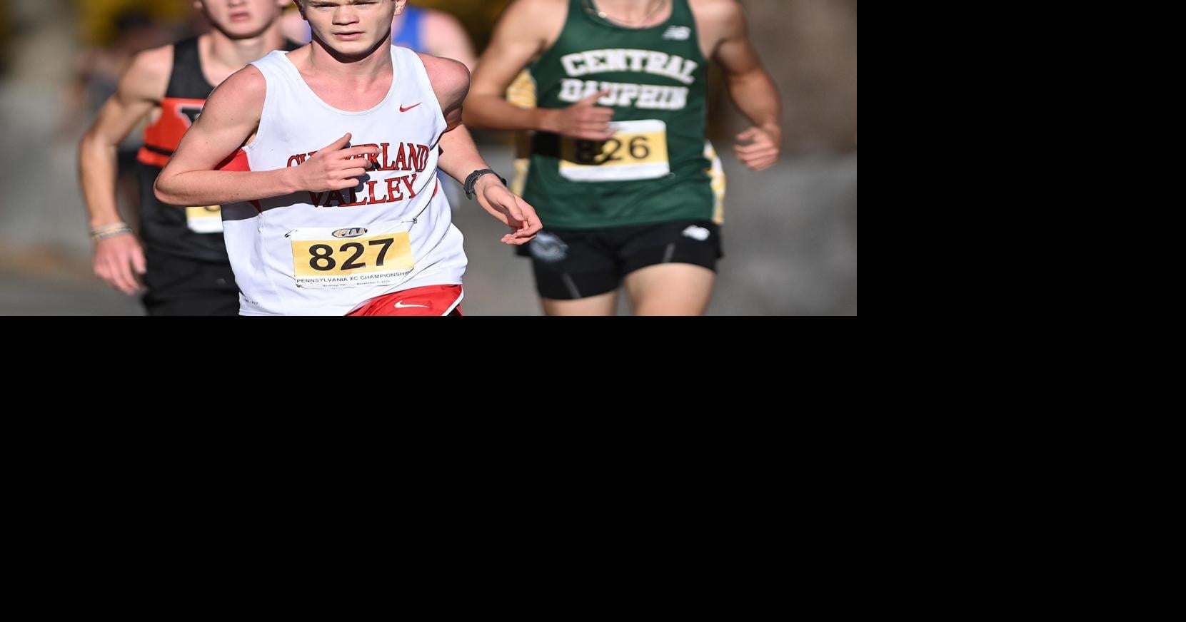 HS Cross Country: Cumberland Valley boys win at Gettysburg, division ...