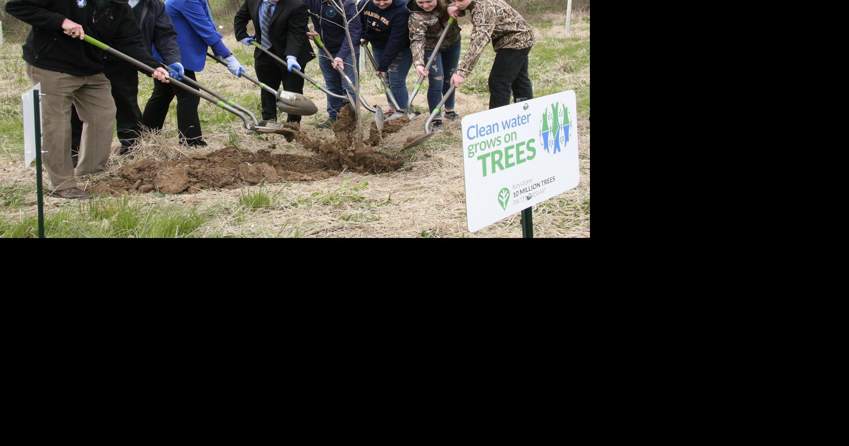 Statewide partnership launches effort to plant 10 million trees