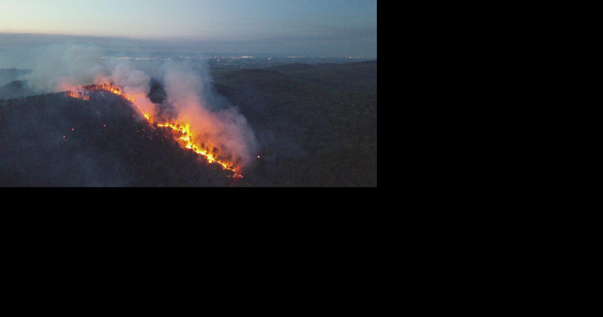 Official: Michaux State Forest fire reaches about 200 acres