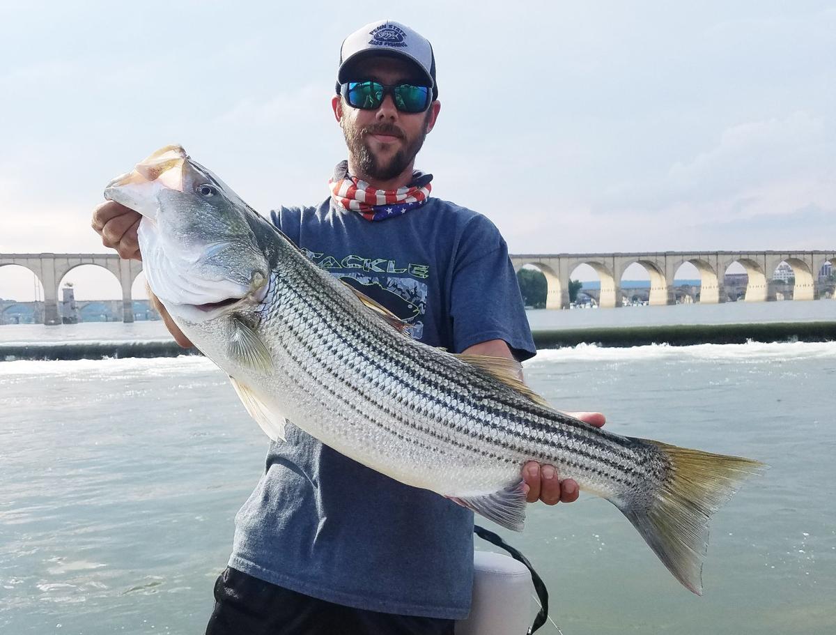 Outdoors: Unusual catch