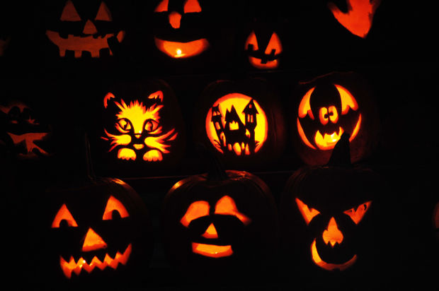 Pine Grove Furnace State Park to host Fall Furnace Festival