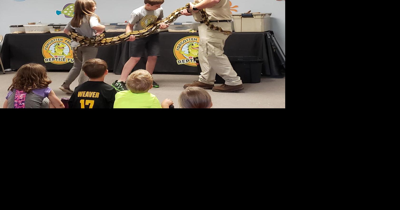 Three Cumberland County libraries to offer summer reading activities