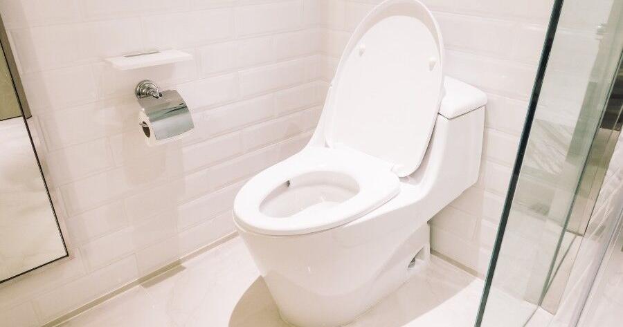 Smart Strategies to Avoid Toilet Disasters at Home | Press Releases ...