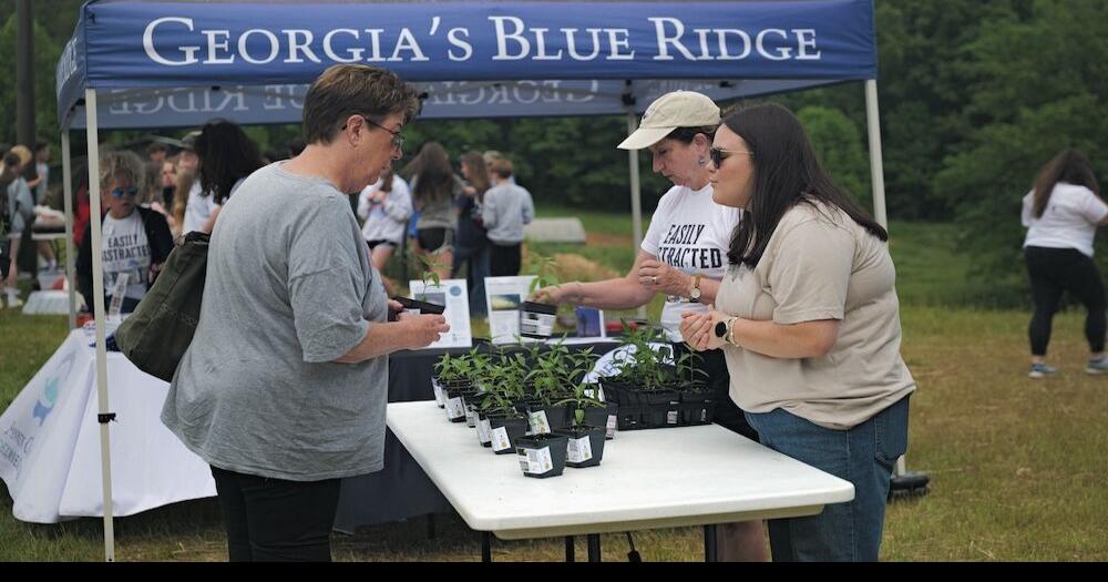 UGA Extension, Fannin partner to conserve fireflies | Education | daily ...