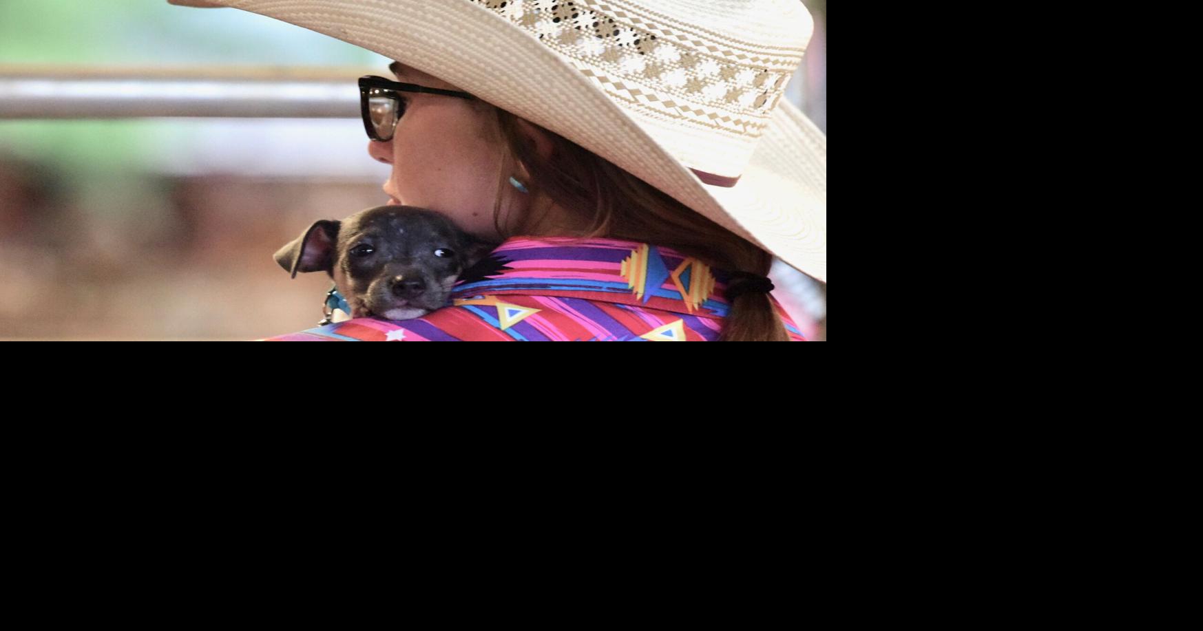 2024 Bartow County Championship Rodeo | Photo Galleries | daily-tribune.com