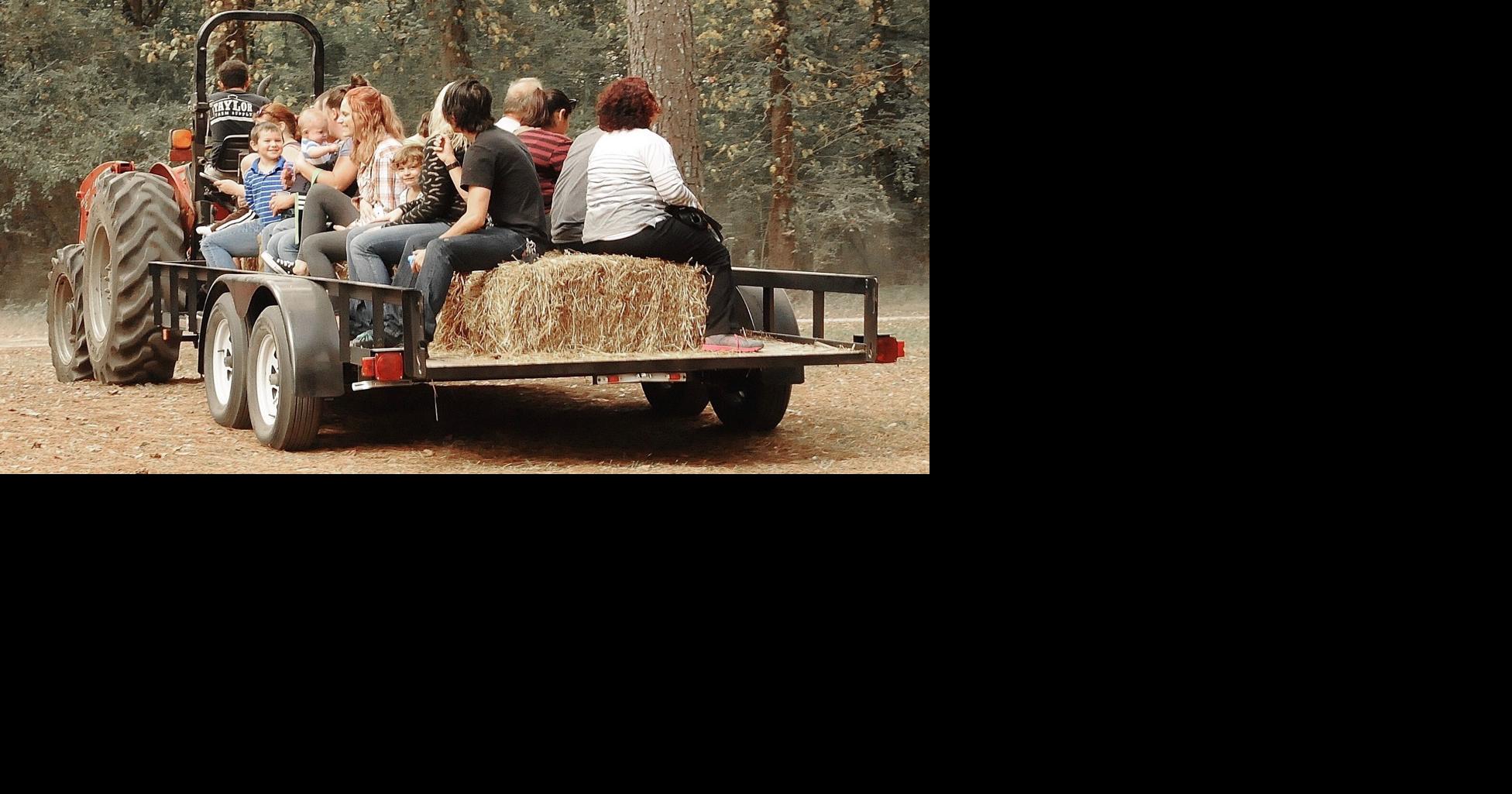 Euharlee’s fall festival, Cass’ cemetery tour return | Features | daily ...