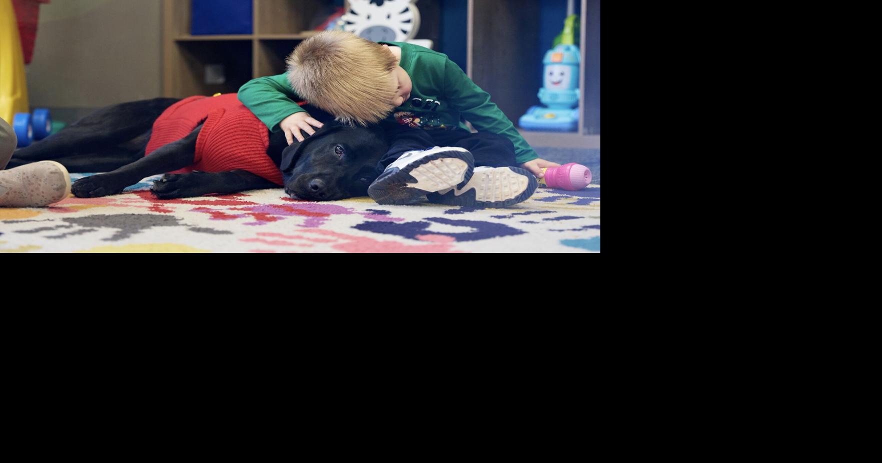 ‘Indescribable honor’: Bryan’s therapy dog brings joy to children with ...