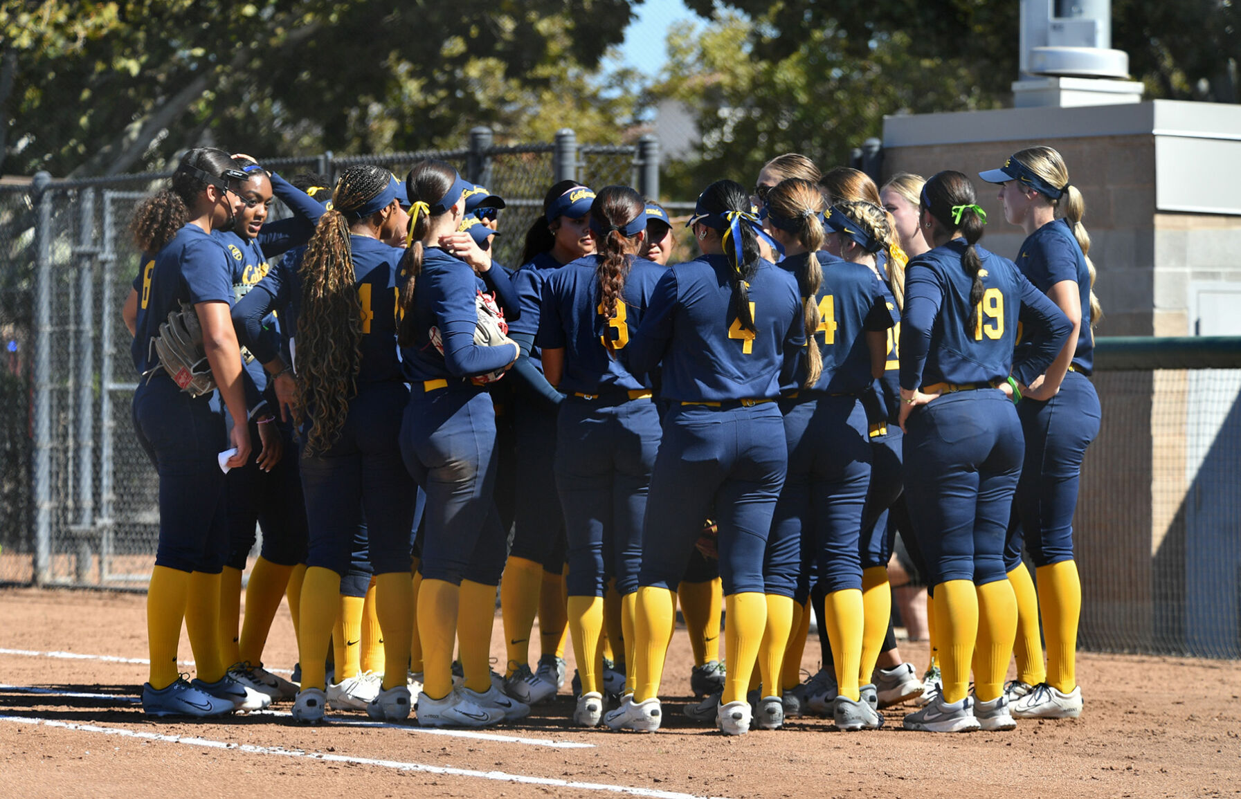 New era of softball to debut this weekend | Softball | dailycal.org