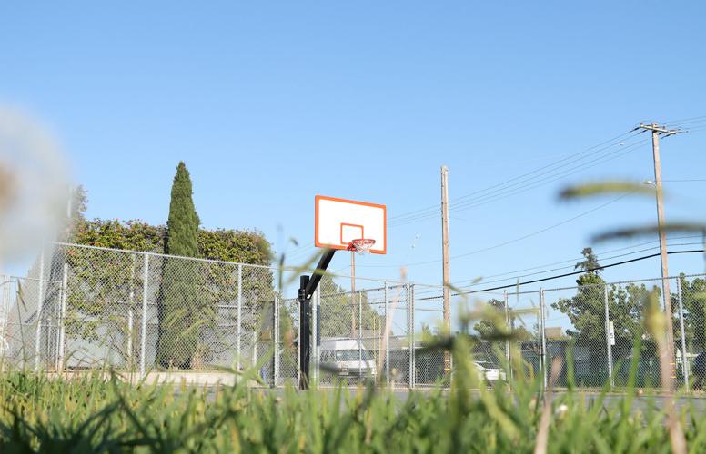 Photo Essay: Basketball courts of Berkeley | Multimedia | dailycal.org