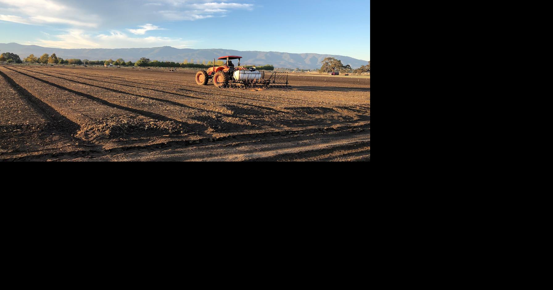 Diseases in the natural world and how they impact the Bay Area | Blog ...