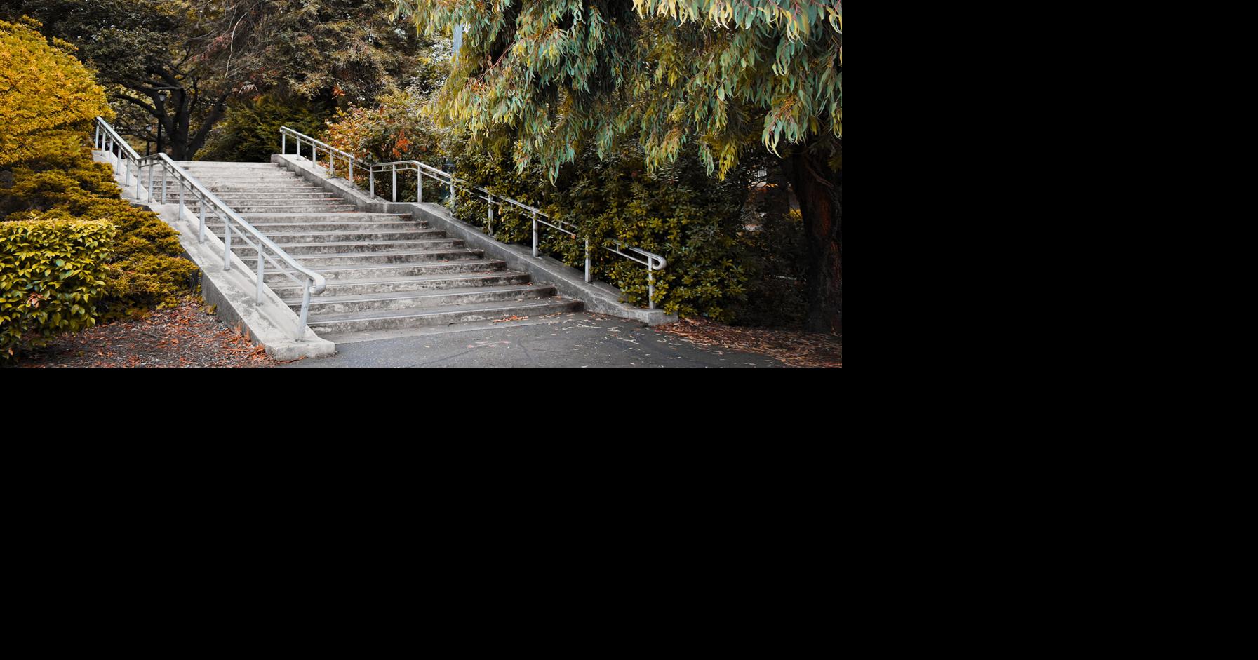 The life of a Berkeley tree is the core of our campus | Blog | dailycal.org