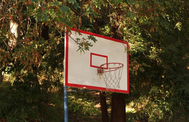 Photo Essay: Basketball courts of Berkeley | Multimedia | dailycal.org