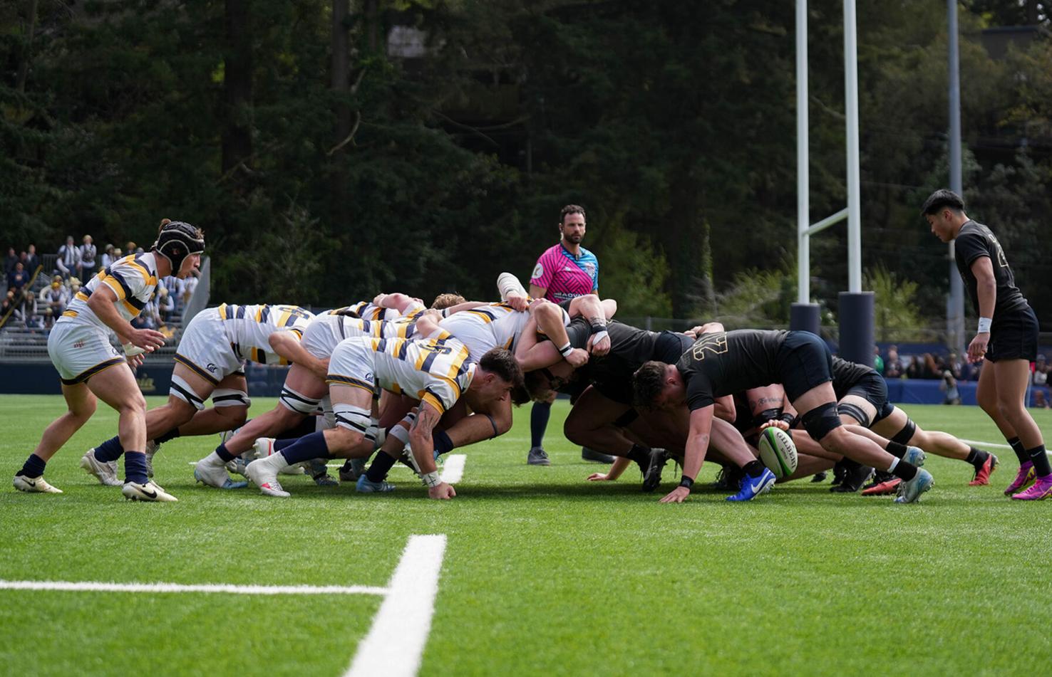 Cal set to close out fall schedule with 15s opener vs. UC Santa Cruz ...