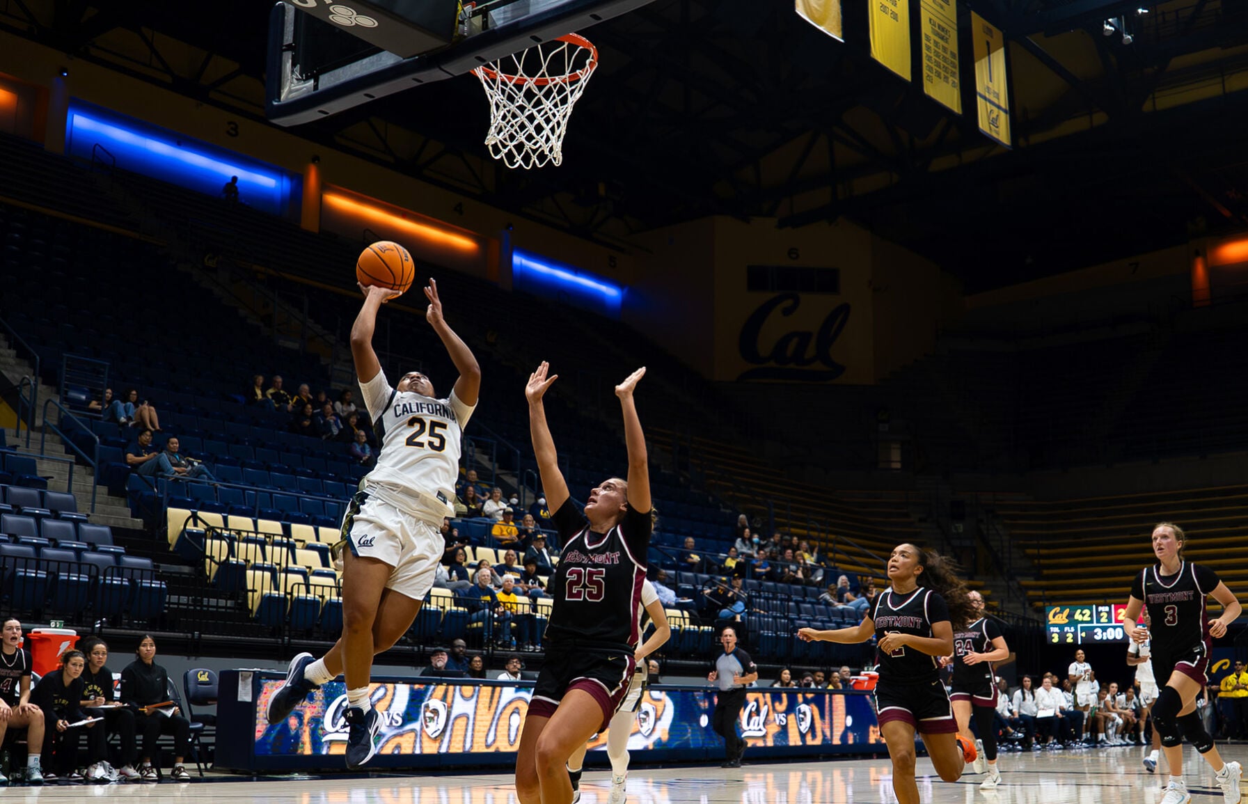 2025-26 Cal women’s basketball ACC shootaround | Basketball | dailycal.org