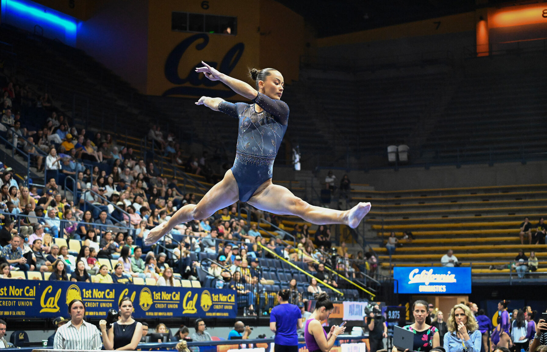 No. 14 Cal women’s gymnastics closes out regular season | Gymnastics ...