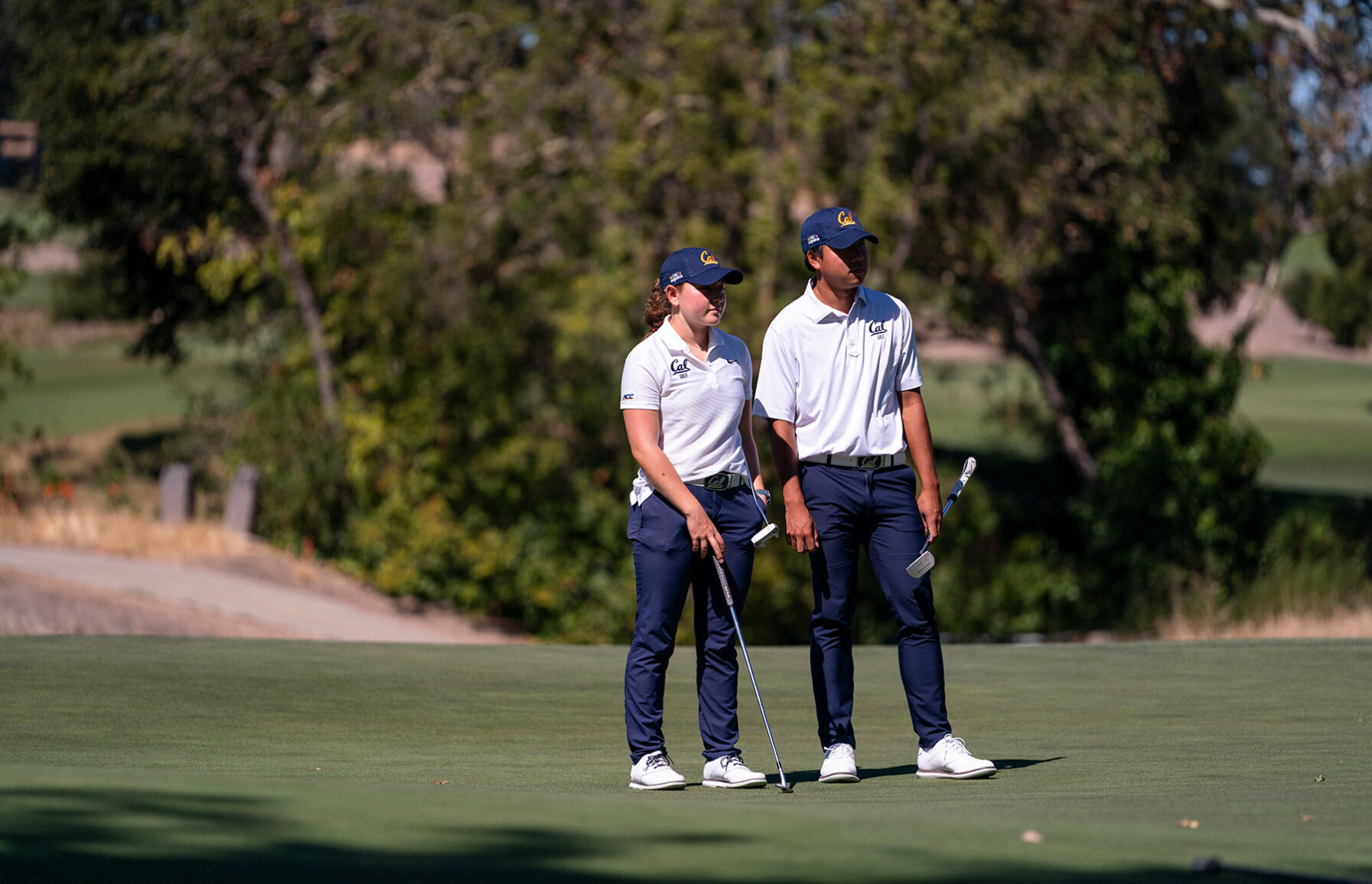 Rivalry renewed on the fairways as Cal, Stanford face off in Big Match ...