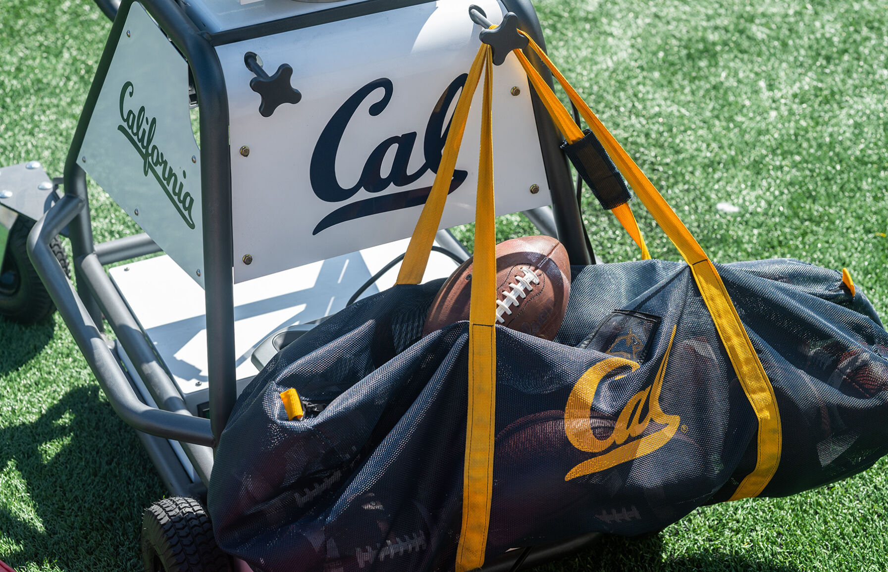 Cal football team placed under 1-year probation after NCAA rules ...