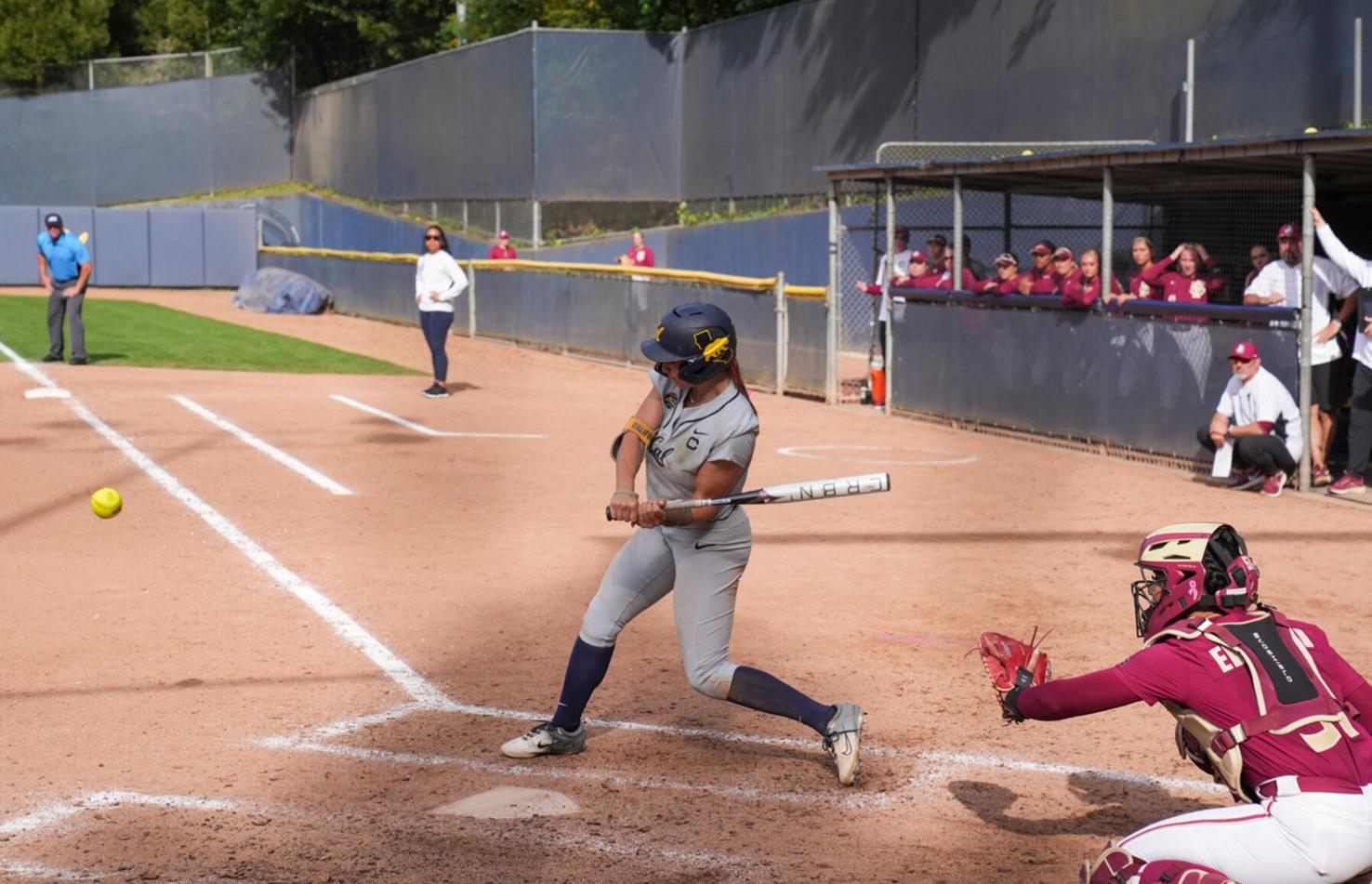 Claws out in Norman as Bears push to regional final | Softball ...