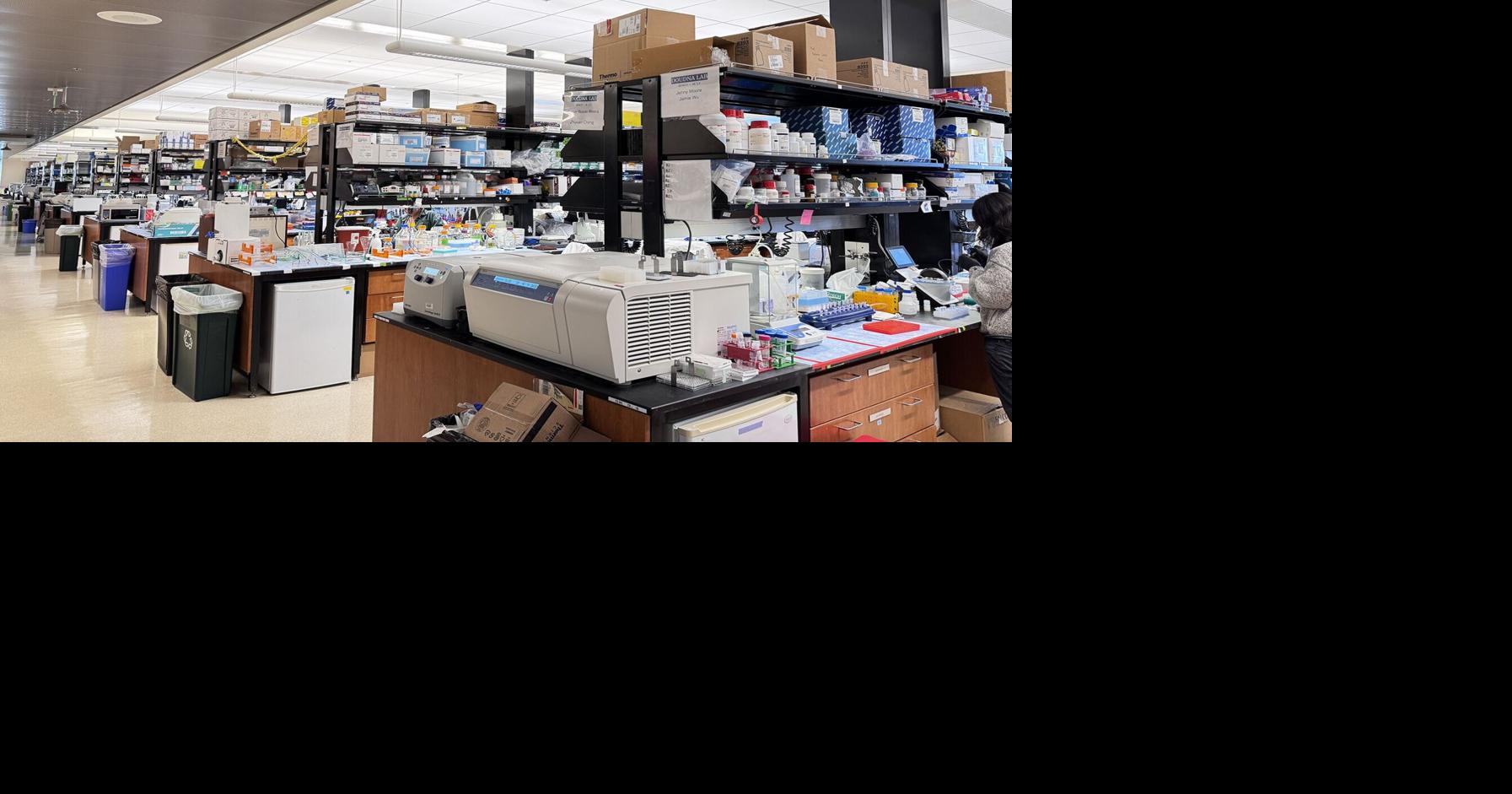 UC Berkeley, UCSF researchers engineer new cancer-destroying technique ...