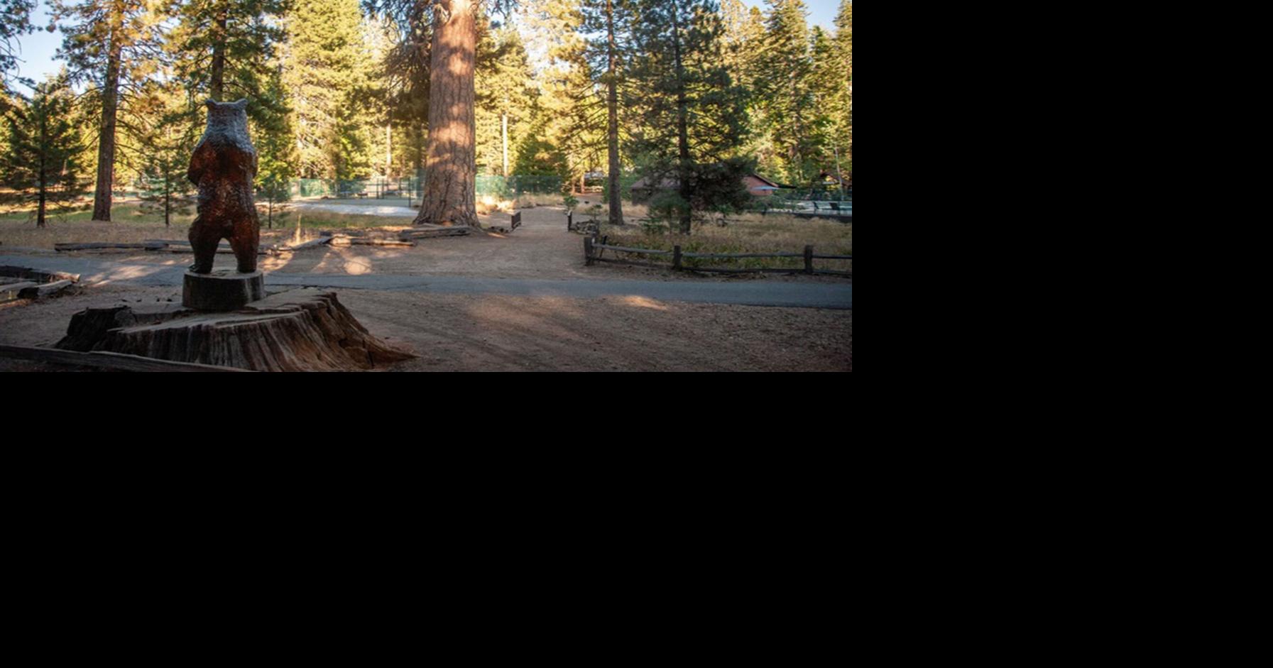 Camp experience for the corporate world: How a summer at the Lair ...