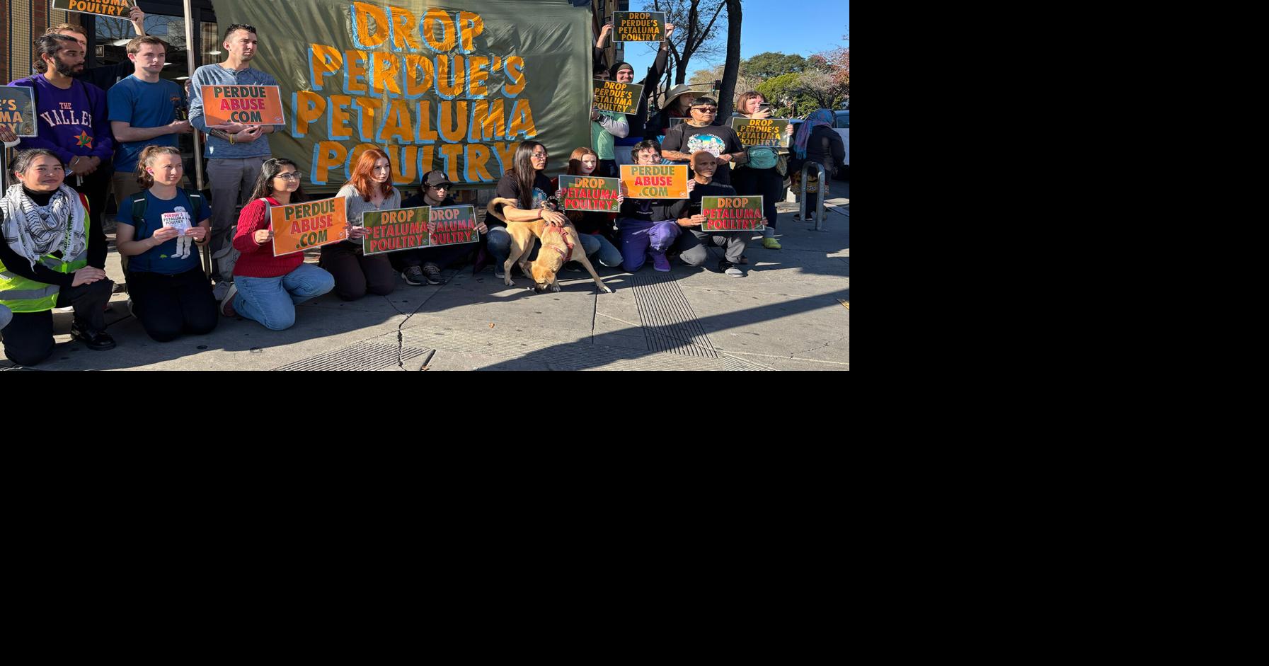 Direct Action Everywhere protests Trader Joe’s purchasing of Petaluma ...