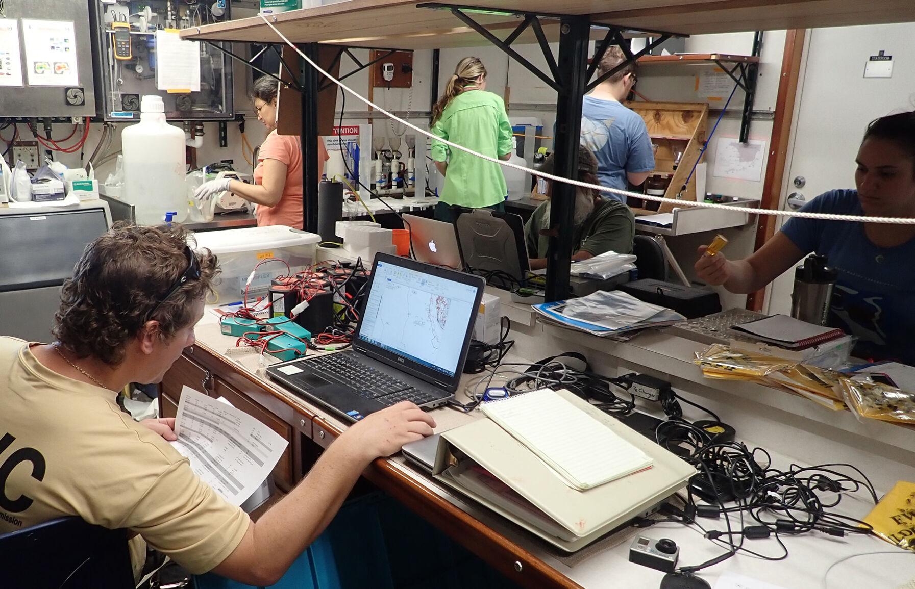 History | Site | dailycal.org