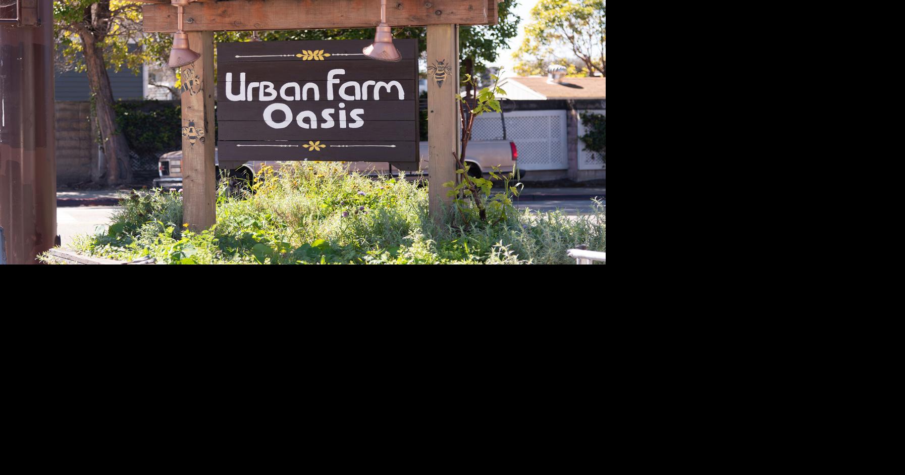 Urban Farm Oasis serves as South Berkeley center for community ...