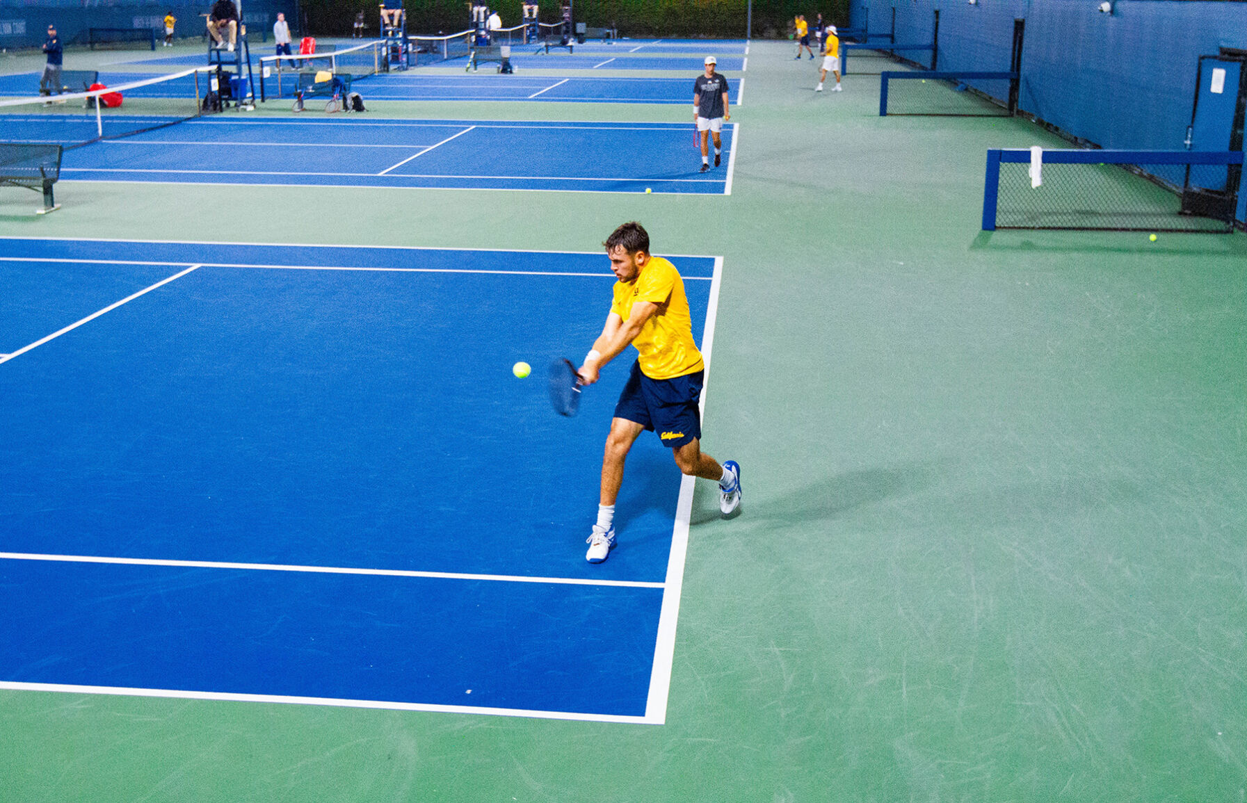 Bears head down to San Diego after inconsistent homestand | Tennis ...