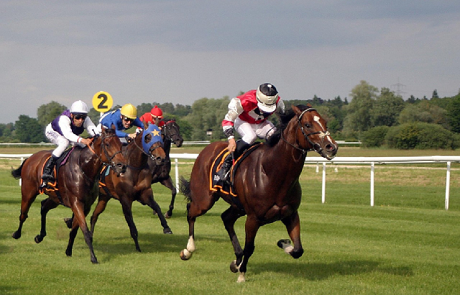 Trophies and Traditions: The Preakness Stakes and Its Legacy ...