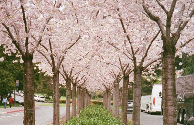 Photo Essay: A love letter to UC Berkeley (on film) | Photo Essays ...