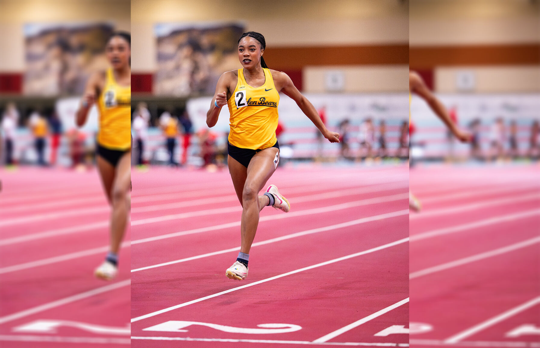 Bears to compete in ACC indoor championships | Track and Field ...