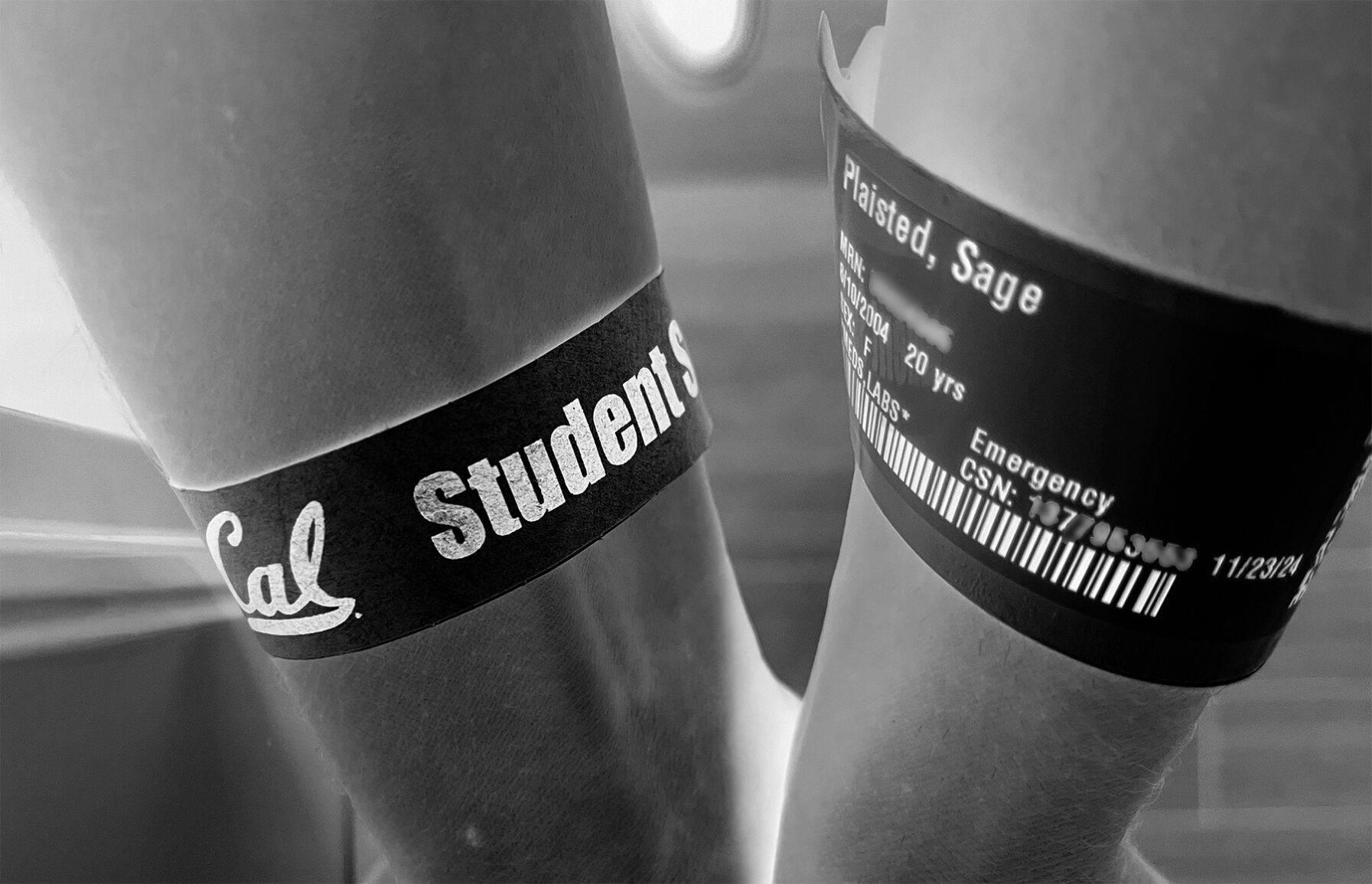 About | Site | dailycal.org