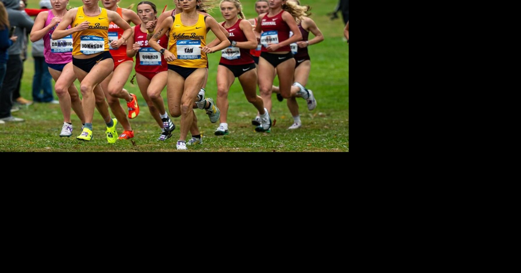 All tricks, no treats: Cal cross country succumbs to ACC’s best | Cross ...