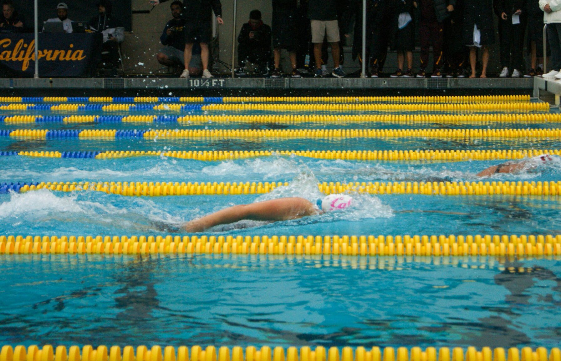 Cal takes wins in double dual-meet weekend in Los Angeles | Swimming ...