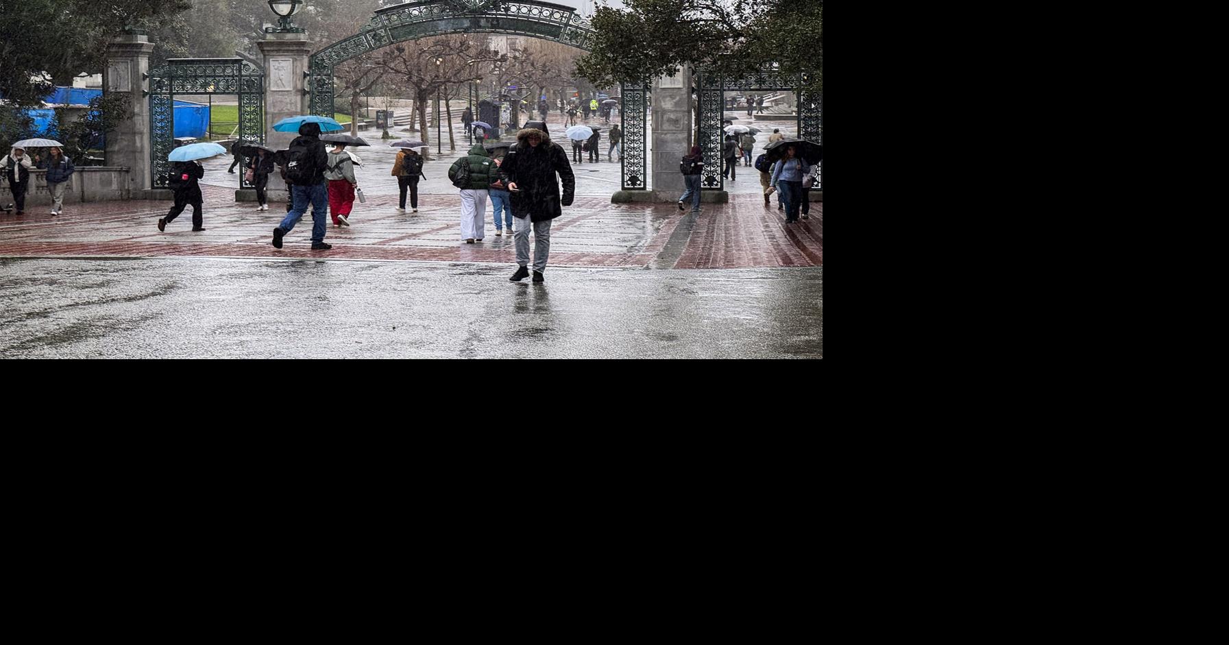 Data science is now UC Berkeley’s largest major | Campus | dailycal.org